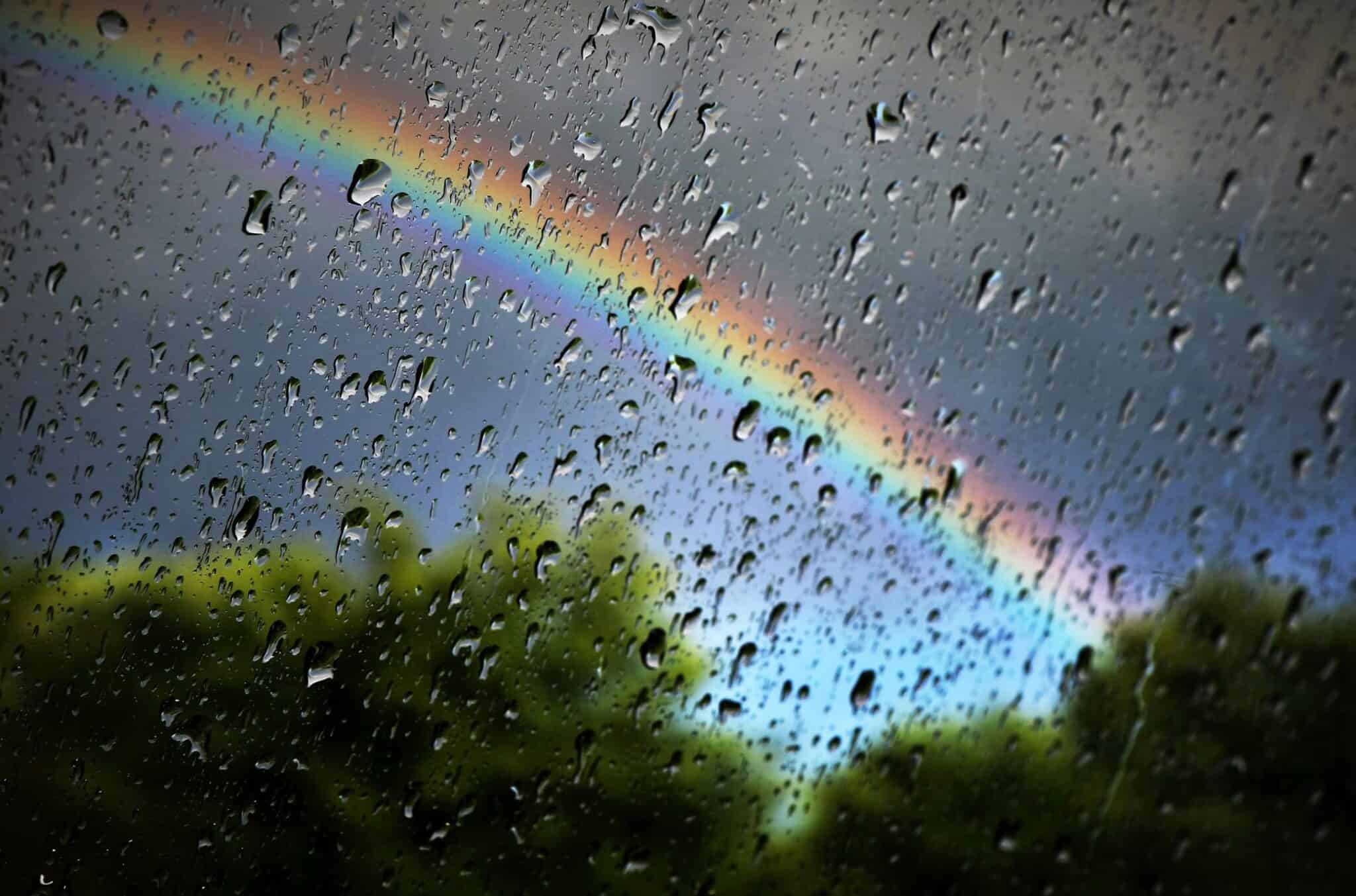 Funny Rain Quotes - 100 of the Best Rainy Day Quotes