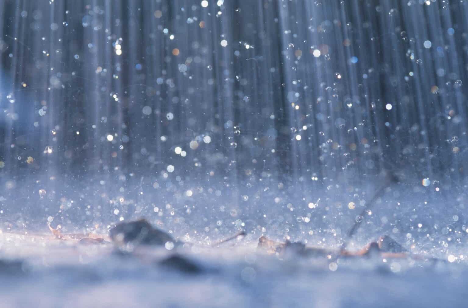 Funny Rain Quotes - 100 of the Best Rainy Day Quotes