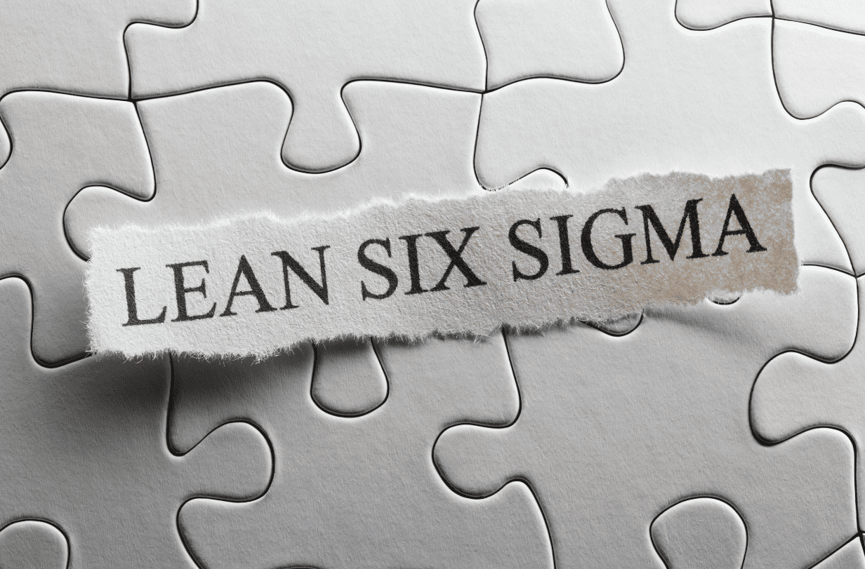 Breaking Down Lean Six Sigma: An Introduction - emilyandblair.com