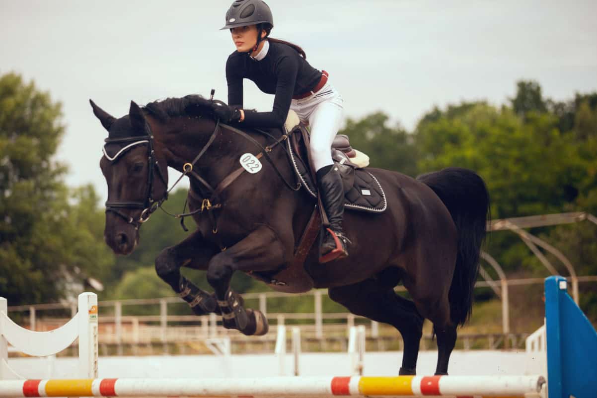 Equestrian Fashion and Function: The Rise of Specialized Riding Gear in ...
